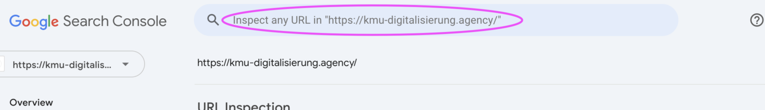 Google Search Console URL-Prüfung: Indexierung & Live-Test erklärt